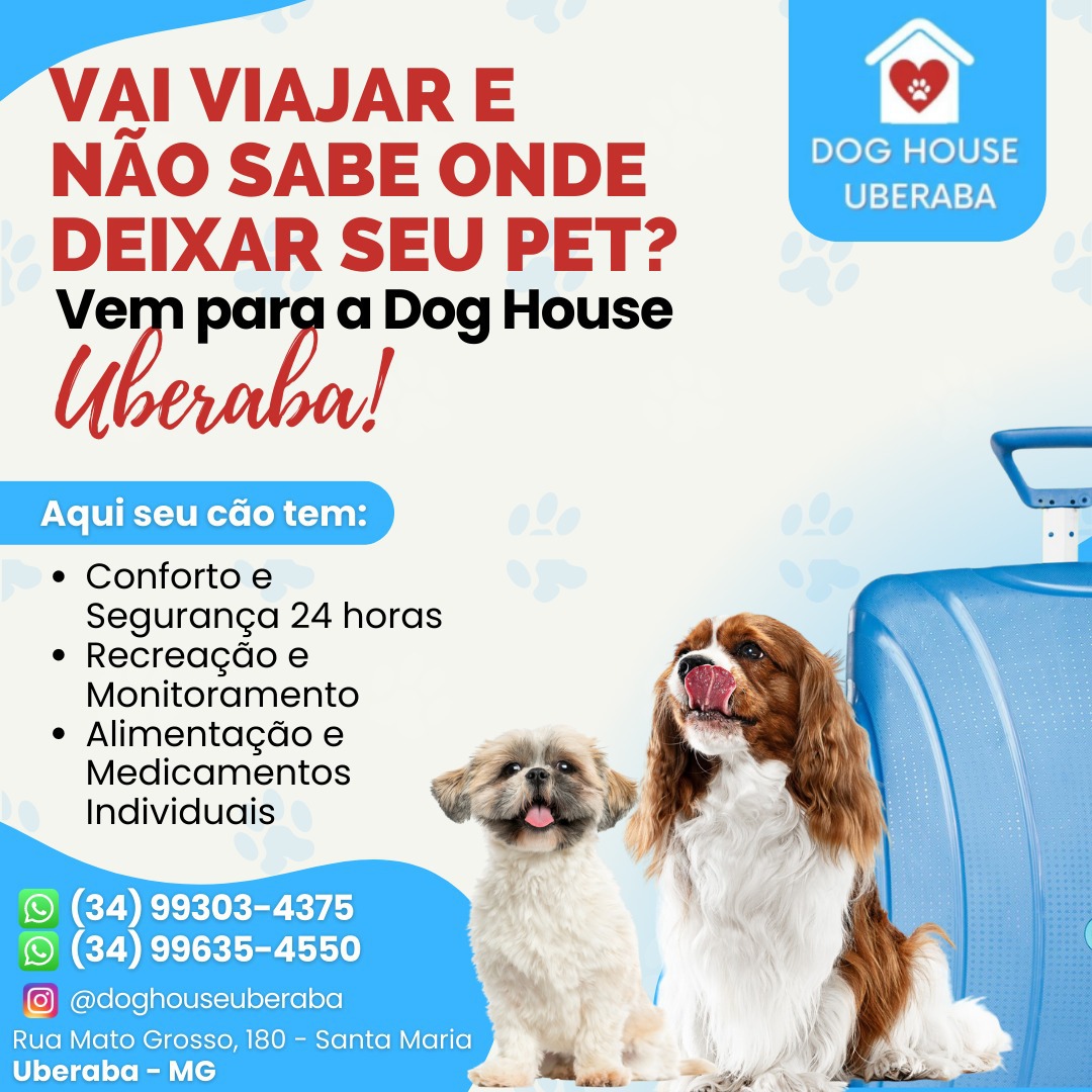 [CLIENTE] – Dog House Uberaba - Bee Digital