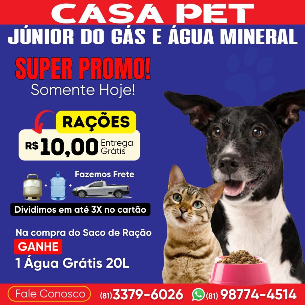 [CLIENTE] – Junior do Gás - Bee Digital